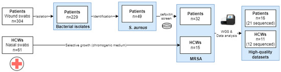 Whole-Genome Sequencing-Based Screening of MRSA in Patients and ...