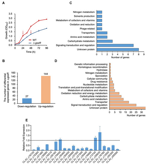 Pleiotropic Regulator GssR Positively Regulates Autotrophic Growth of ...