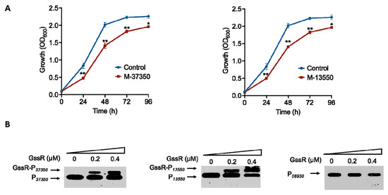 Microorganisms | Free Full-Text | Pleiotropic Regulator GssR Positively ...