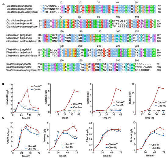 Microorganisms | Free Full-Text | Pleiotropic Regulator GssR Positively ...