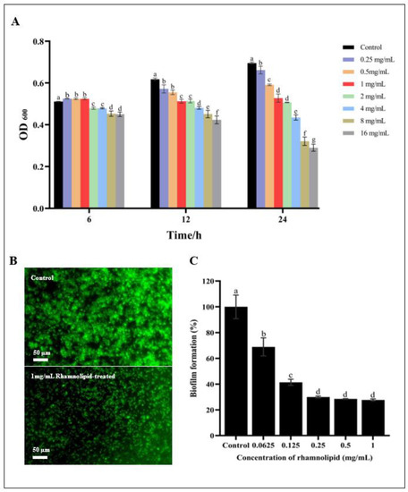 Physiological and Transcriptomic Analyses of Escherichia coli Serotype ...