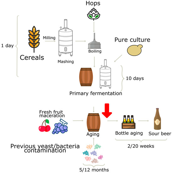 Sour Beer as Bioreservoir of Novel Craft Ale Yeast Cultures