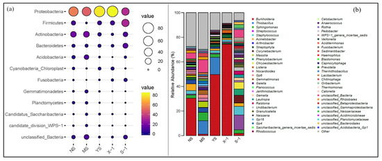 16S rDNA Sequencing-Based Insights into the Bacterial Community ...