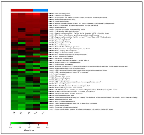 16S rDNA Sequencing-Based Insights into the Bacterial Community ...