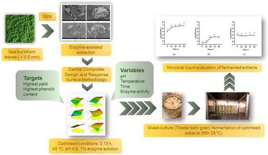 Optimization of Enzyme-Assisted Extraction of Bioactive Compounds from Sea Buckthorn (Hippophae ...