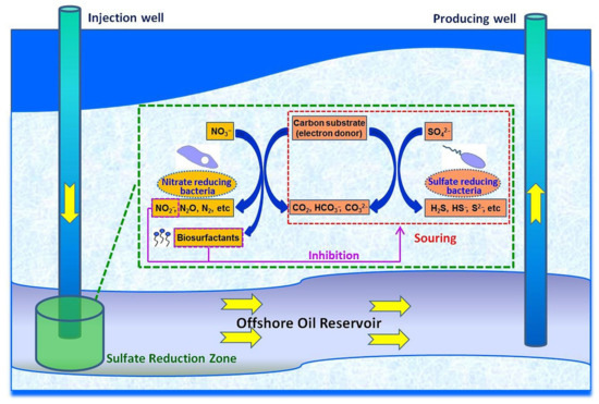 Comprehensive Review on the Use of Biocides in Microbiologically ...