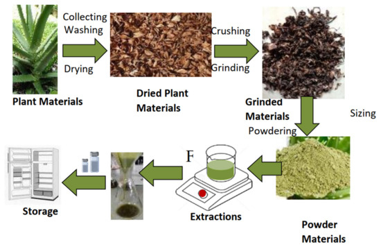 Comprehensive Review on the Use of Biocides in Microbiologically ...