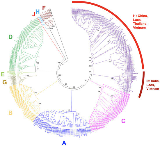 Microorganisms | Free Full-Text | Concealed for a Long Time on the ...