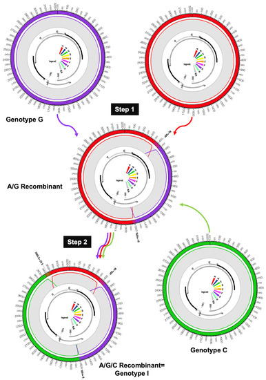 Microorganisms | Free Full-Text | Concealed for a Long Time on the ...