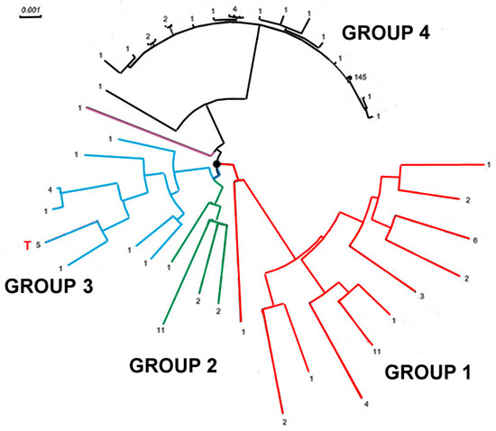 Microorganisms | Free Full-Text | Solvent-Producing Clostridia Revisited