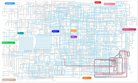 Effects of Music and White Noise Exposure on the Gut Microbiota ...
