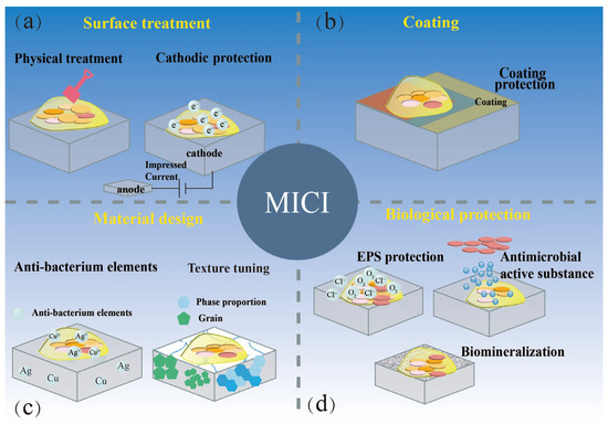 Microbially Influenced Corrosion of Steel in Marine Environments: A ...