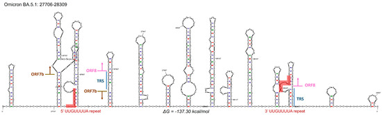 Detection of SARS-CoV-2 Δ426 ORF8 Deletion Mutant Cluster in NGS Screening
