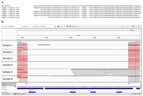 Detection of SARS-CoV-2 Δ426 ORF8 Deletion Mutant Cluster in NGS Screening