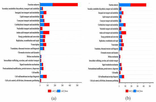 Understanding the Effect of Different Glucose Concentrations in the ...