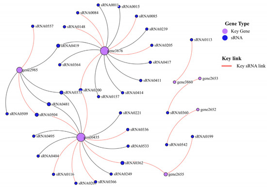 Understanding the Effect of Different Glucose Concentrations in the ...