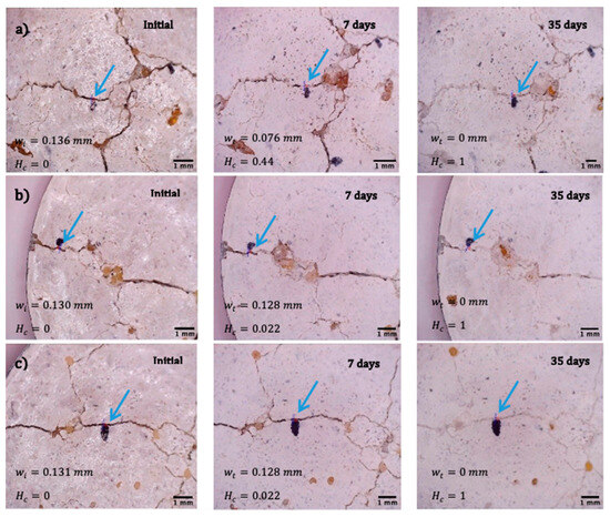 Bacterial Viability in Self-Healing Concrete: A Case Study of Non ...
