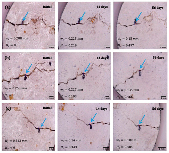 Bacterial Viability in Self-Healing Concrete: A Case Study of Non ...