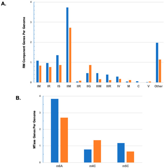 A Survey of Archaeal Restriction–Modification Systems