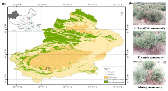 Different Responses of Soil Bacterial and Fungal Communities in Three Typical Vegetations ...