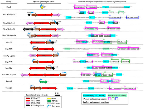 Mutation Analysis in Regulator DNA-Binding Regions for Antimicrobial ...