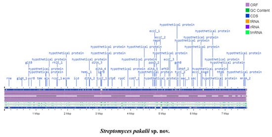 Phenotypic and Genomic Characterization of Streptomyces pakalii sp. nov ...