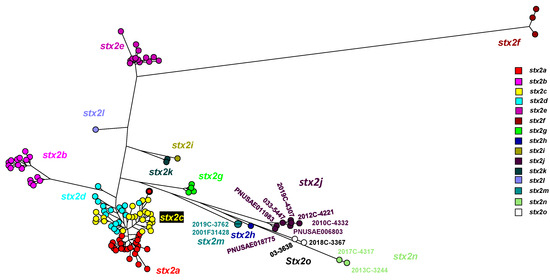 Identification and Characterization of ten Escherichia coli Strains ...