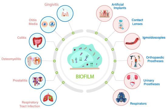 Microorganisms | Free Full-Text | Biofilms as Battlefield Armor for ...