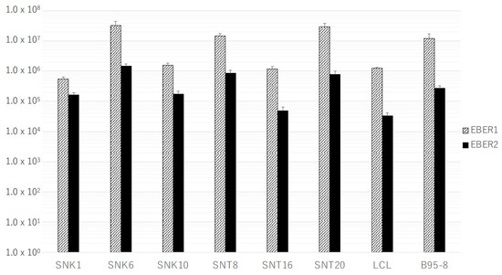 Establishment of Epstein–Barr Virus (EBV) Latent Gene-Expressing T-Cell ...