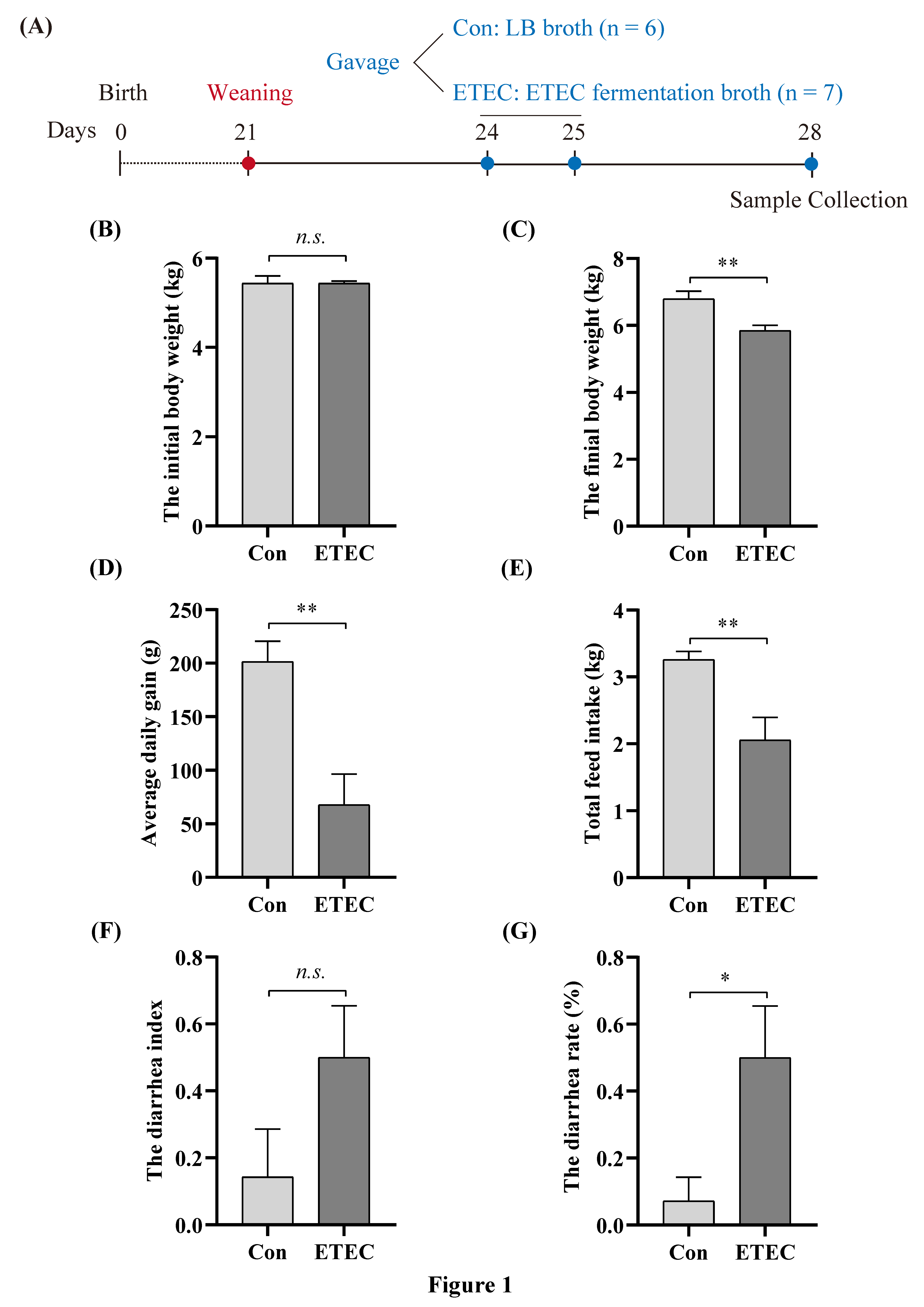 Effects of Enterotoxigenic Escherichia coli Challenge on Jejunal ...