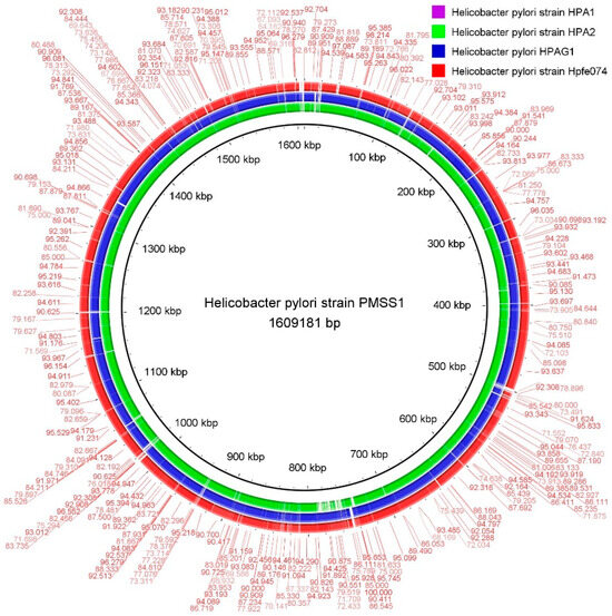 Identification, Genome Sequencing, and Characterizations of ...