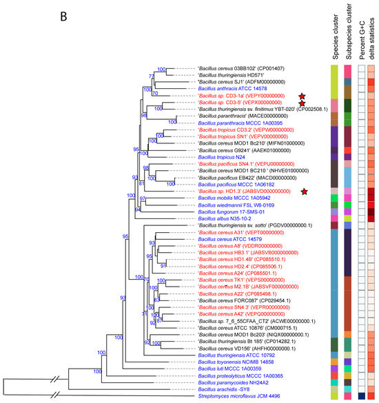 Plant-Associated Representatives of the Bacillus cereus Group Are a ...
