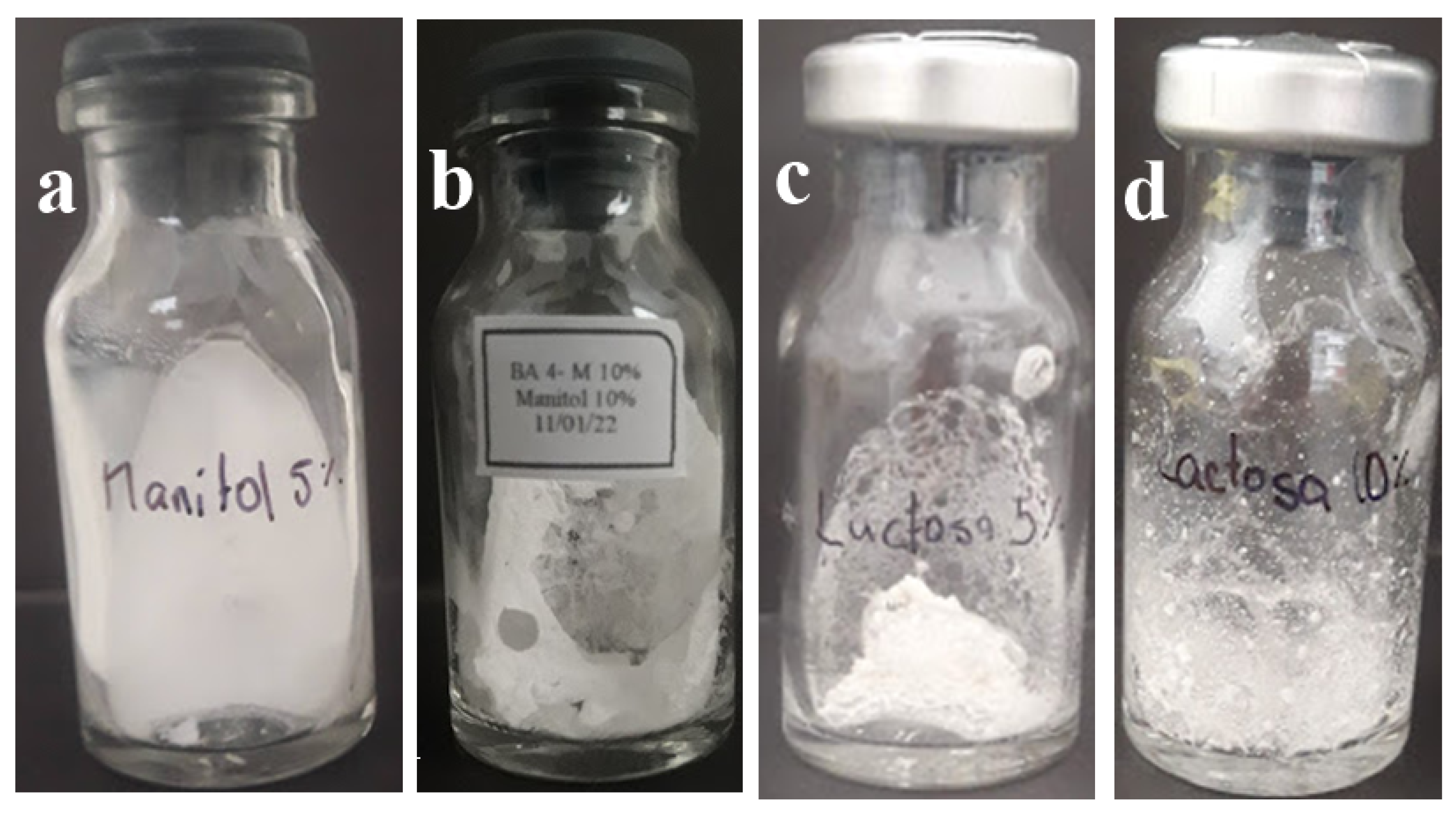 Microorganisms | Free Full-Text | Effect of Lyoprotective Agents on the Preservation of Survival ...