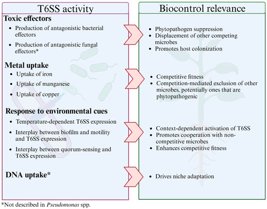 T6SS: A Key to Pseudomonas’s Success in Biocontrol?