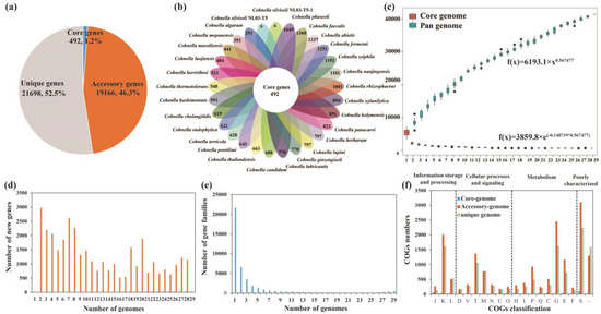 Pan-Genome Analyses of the Genus Cohnella and Proposal of the Novel ...