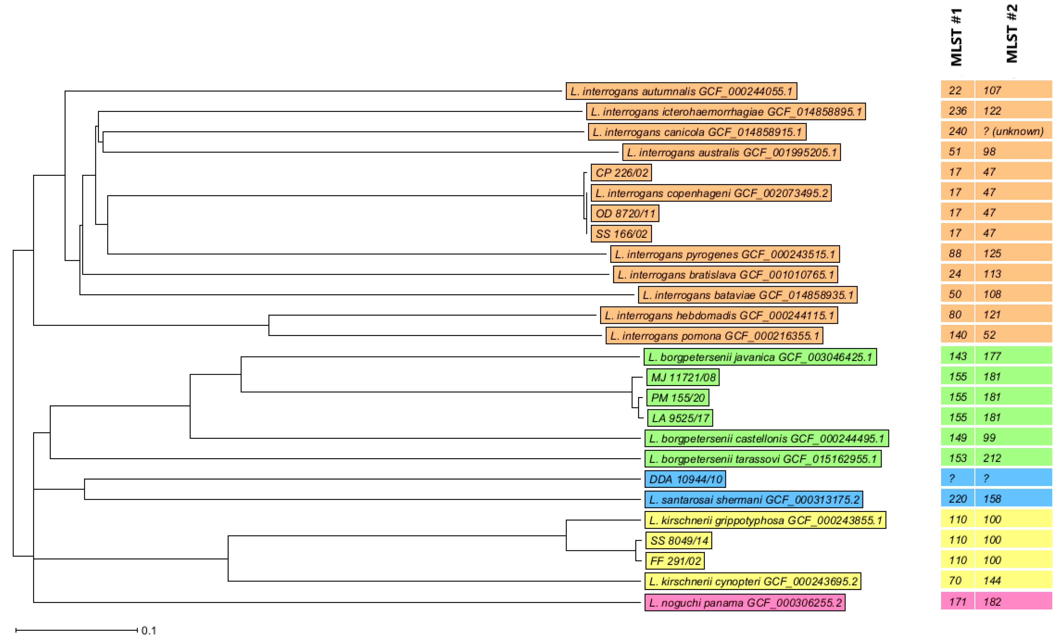 First Report on Leptospira Species Isolated from Patients in Slovenia