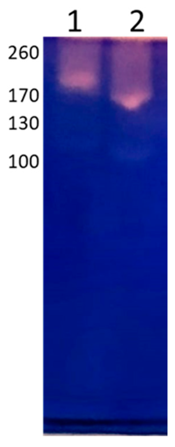 Microorganisms | Free Full-Text | Extracellular Vesicles Secreted by ...