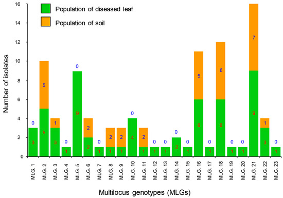 Evidence of High Genetic Diversity and Differences in the Population Diversity of the Eucalyptus ...