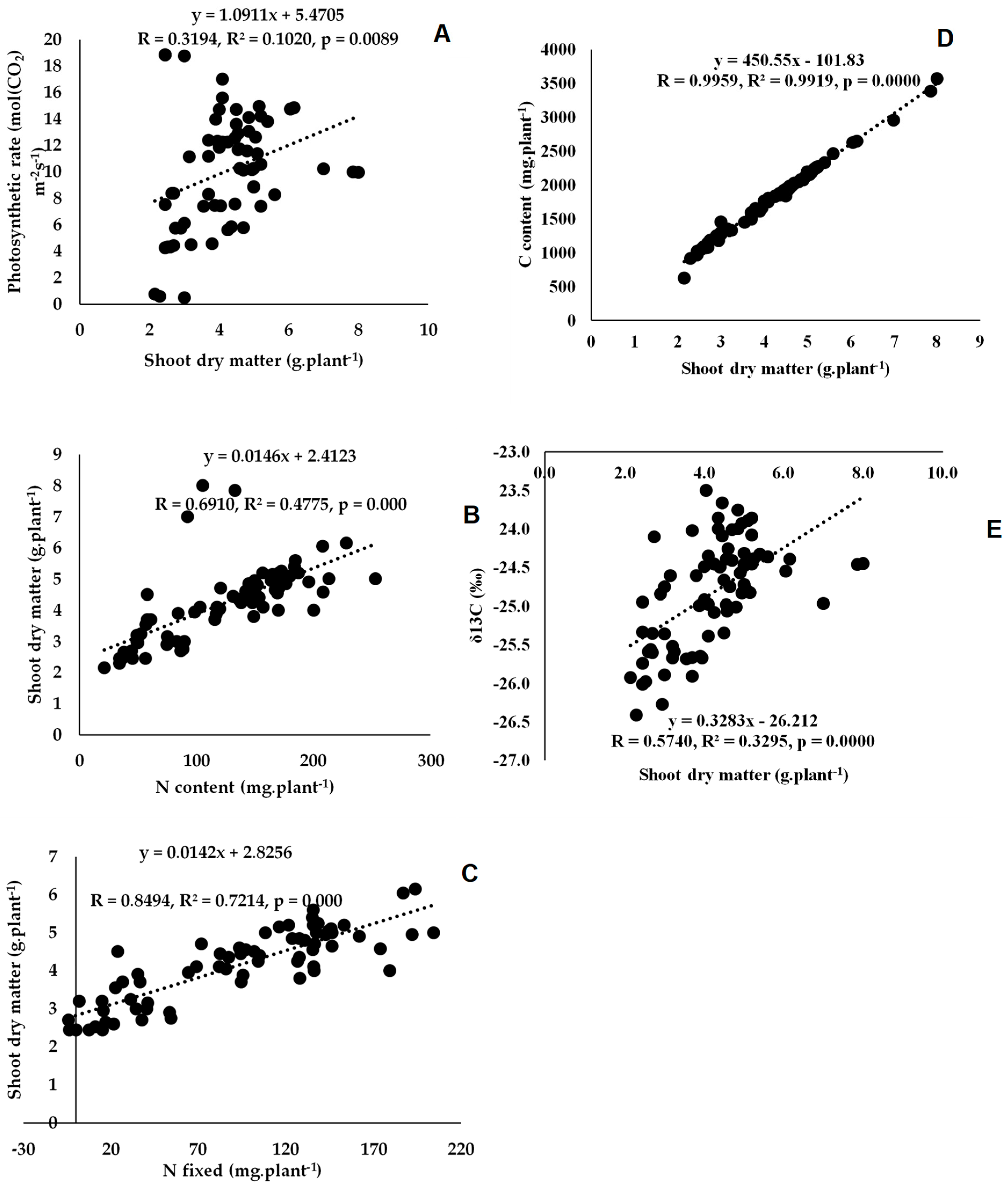 Symbiotic Functioning and Photosynthetic Rates Induced by Rhizobia ...