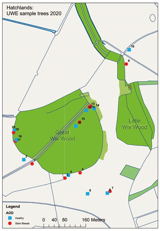 Bacteria Associated with Acute Oak Decline: Where Did They Come From ...