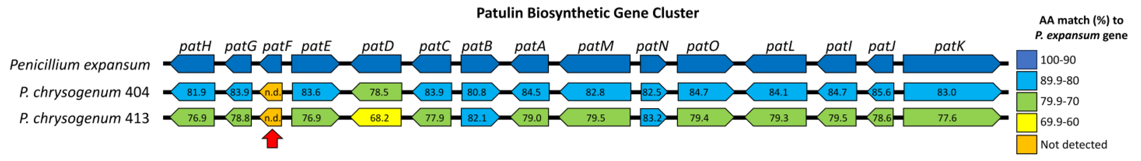 Avirulent Isolates of Penicillium chrysogenum to Control the Blue Mold ...