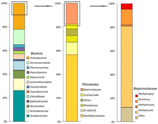 One Step Closer to Enigmatic USCα Methanotrophs: Isolation of a ...