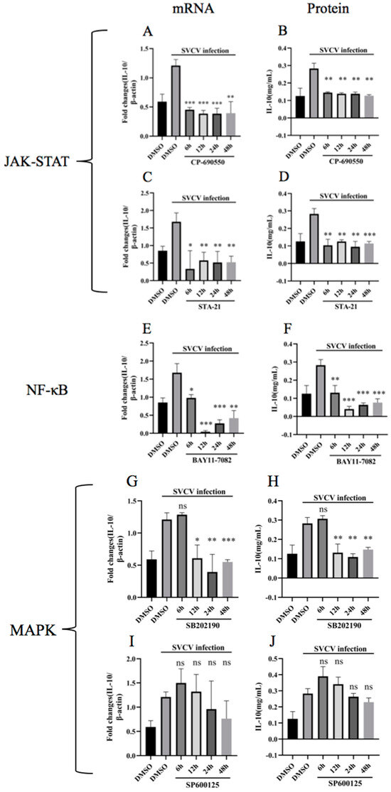 Spring Viremia of Carp Virus Infection Induces Carp IL-10 Expression ...
