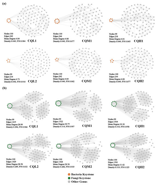 The Salinity Survival Strategy of Chenopodium quinoa: Investigating ...