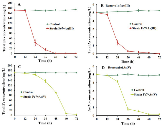 Arsenic Removal via the Biomineralization of Iron-Oxidizing Bacteria ...