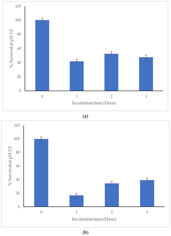Unveiling the Probiotic Potential of the Anaerobic Bacterium ...