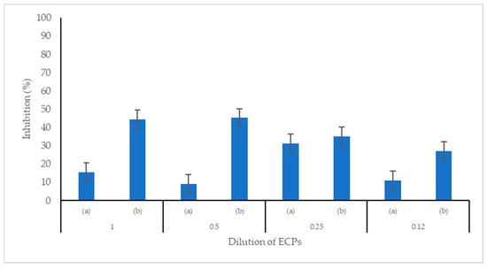 Unveiling the Probiotic Potential of the Anaerobic Bacterium ...