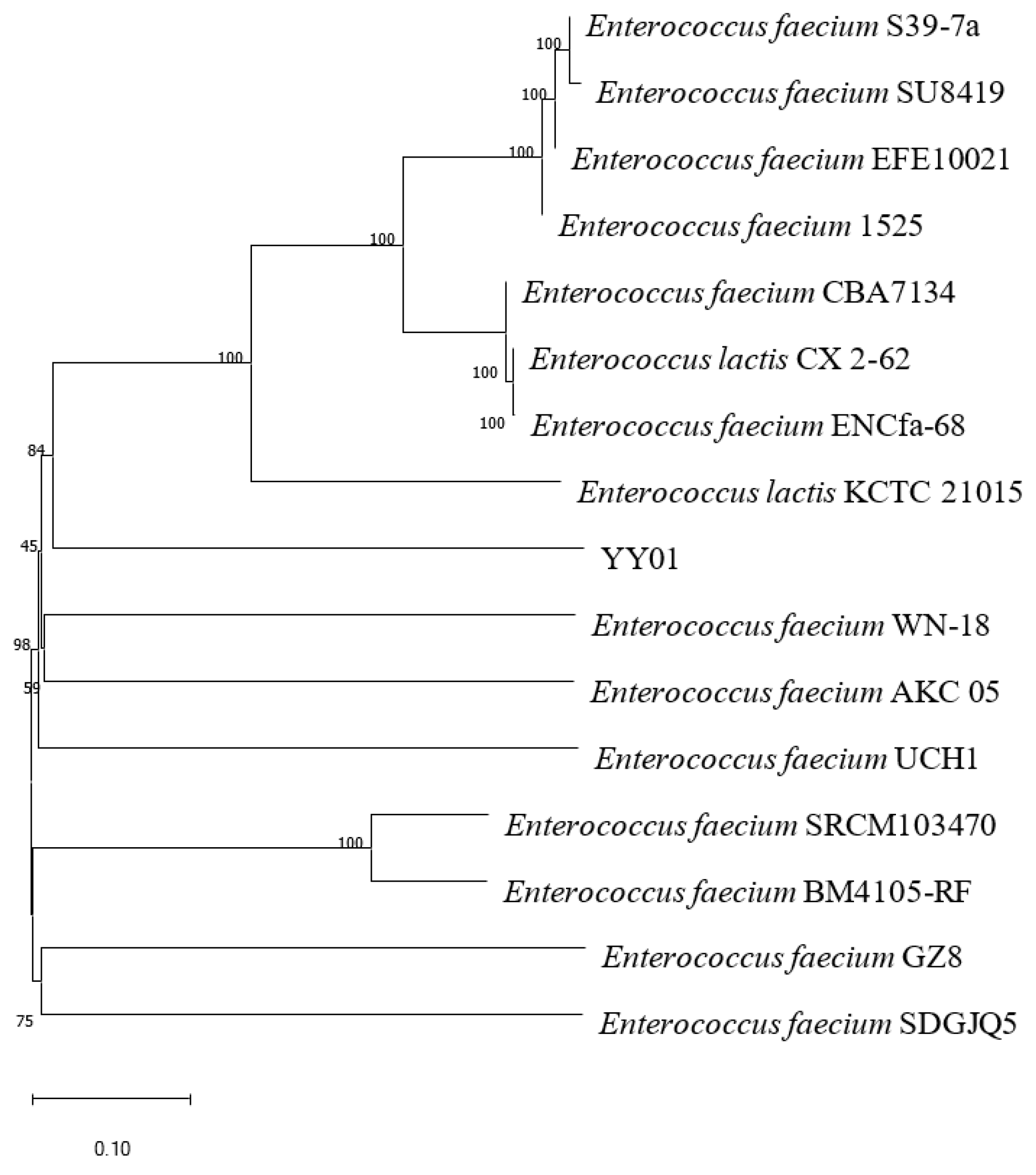 Biodegradation of Cholesterol by Enterococcus faecium YY01