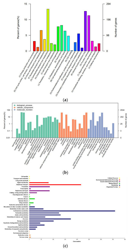 Biodegradation of Cholesterol by Enterococcus faecium YY01