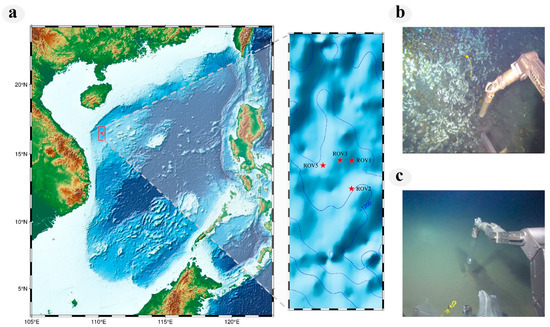 Differences in Bacterial Co-Occurrence Networks and Ecological Niches ...